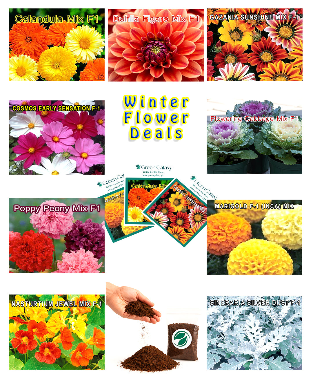 Flower Seeds Deal 2 – Green Galaxy PK – Gardening & Seeds Centre in Lahore